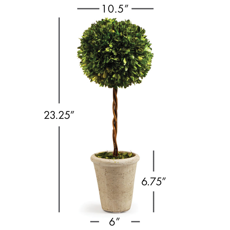 BOXWOOD SINGLE SPHERE TOPIARY 23.25" – Millstone Market & Nursery