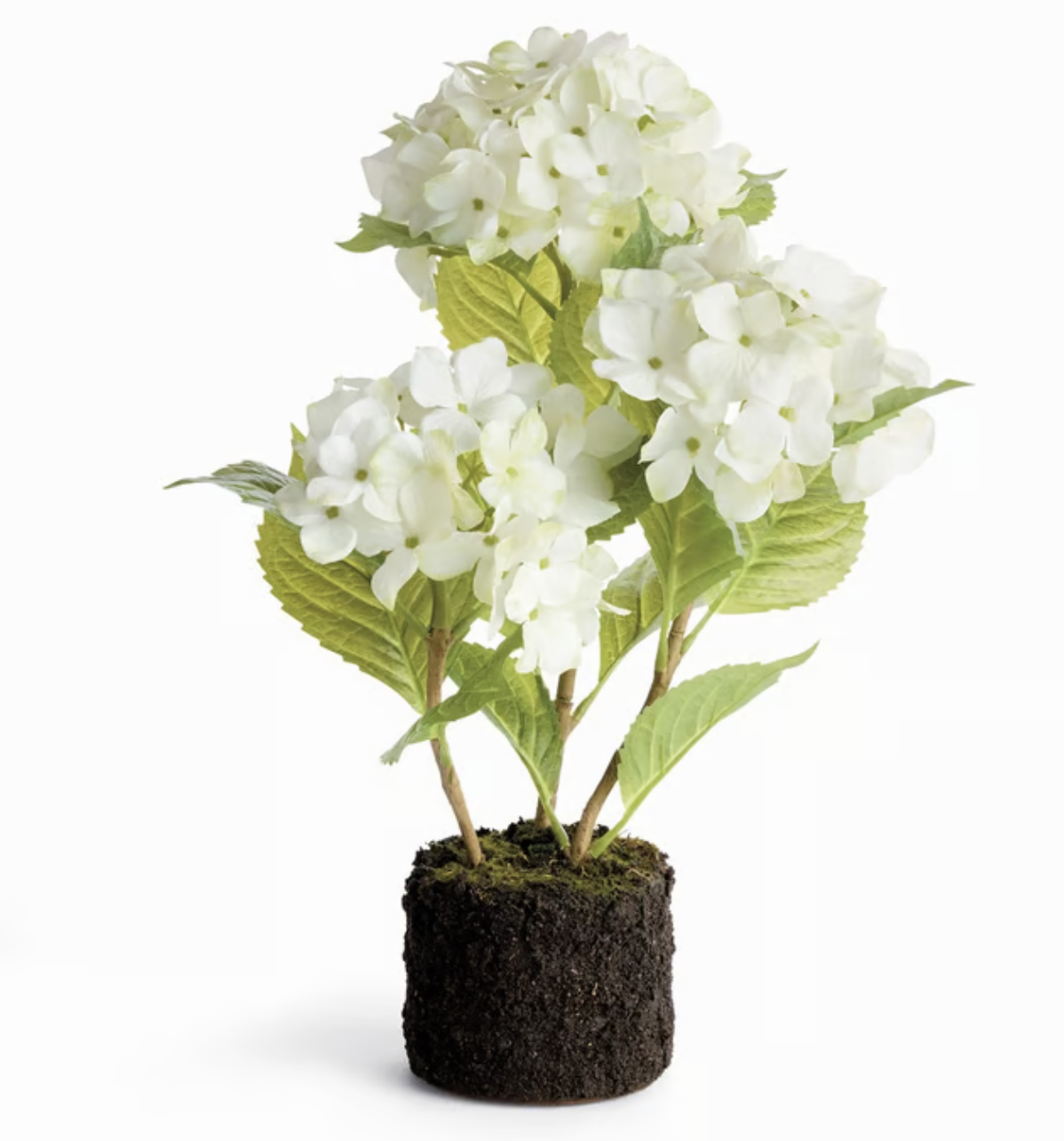 HYDRANGEA DROP IN -18" – Millstone Market & Nursery