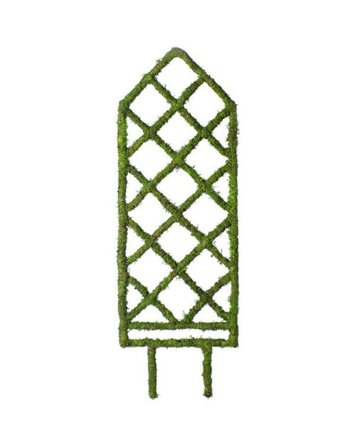 DIAMOND TRELLIS – Millstone Market & Nursery